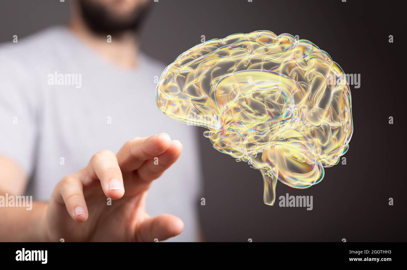 Hand touching an illustration of a human brain - the concept of ...