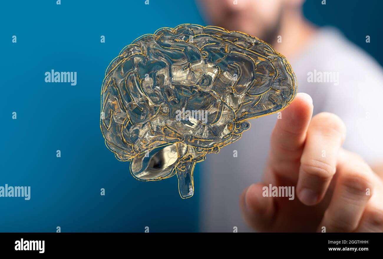 Hand touching an illustration of a human brain - the concept of ...