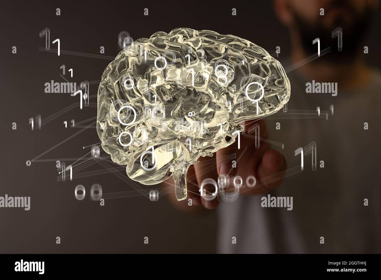 Hand touching an illustration of a human brain - the concept of ...