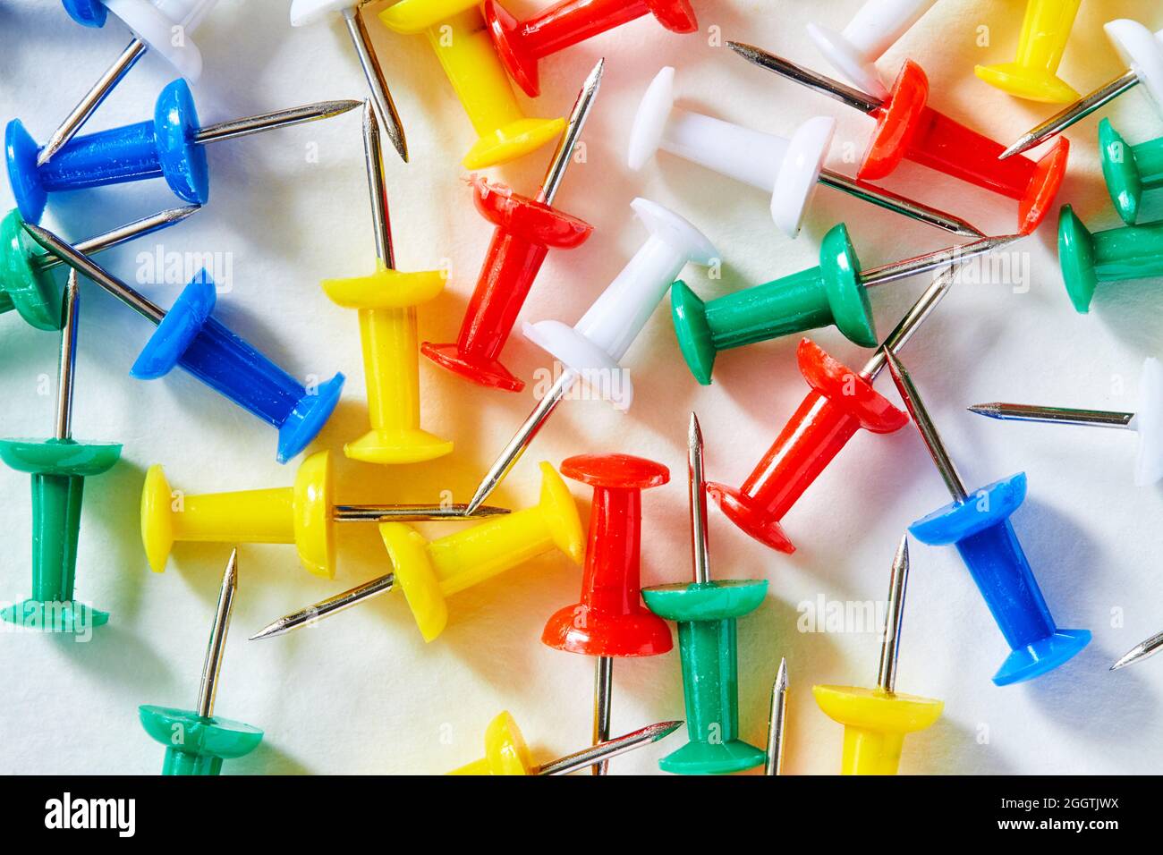 Colored stationery buttons laid out on light background. Carnations for ...