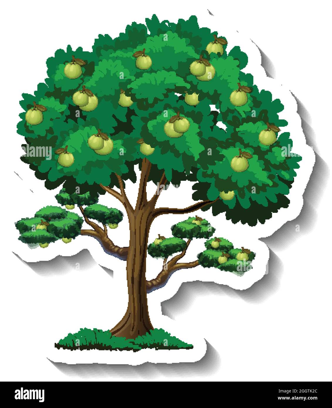 Guava tree sticker on white background illustration Stock Vector Image ...