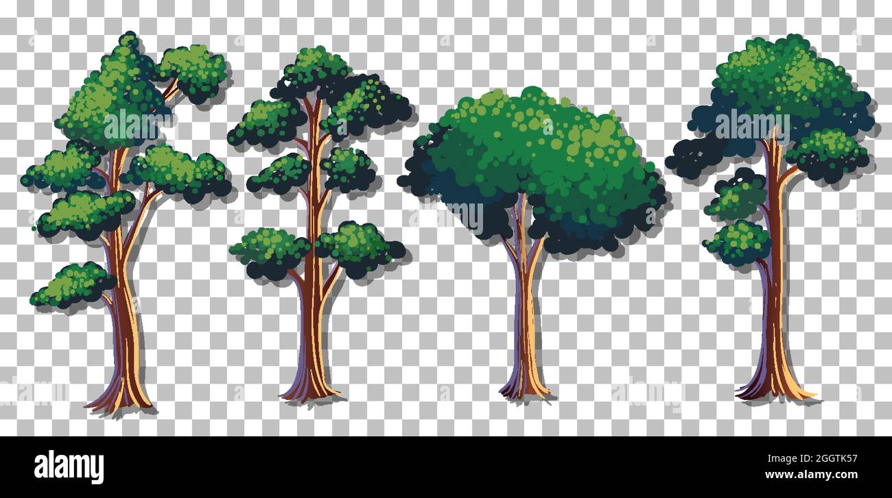 Set of various trees on transparent background illustration Stock ...