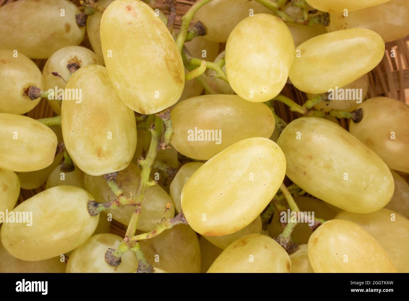 Sweet grapes hi-res stock photography and images - Alamy