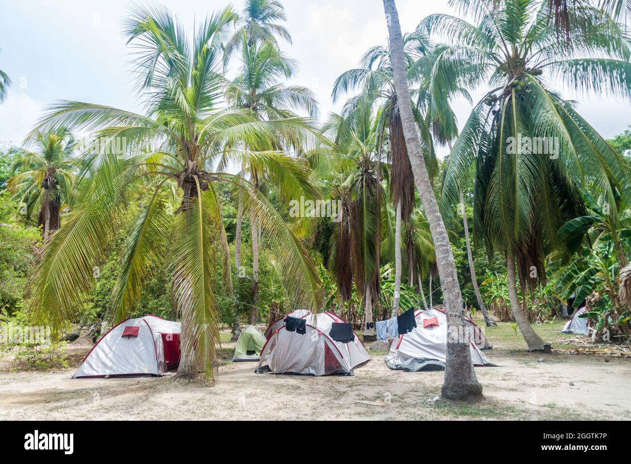 Camping site in Tayrona National Park, Colombia Stock Photo - Alamy