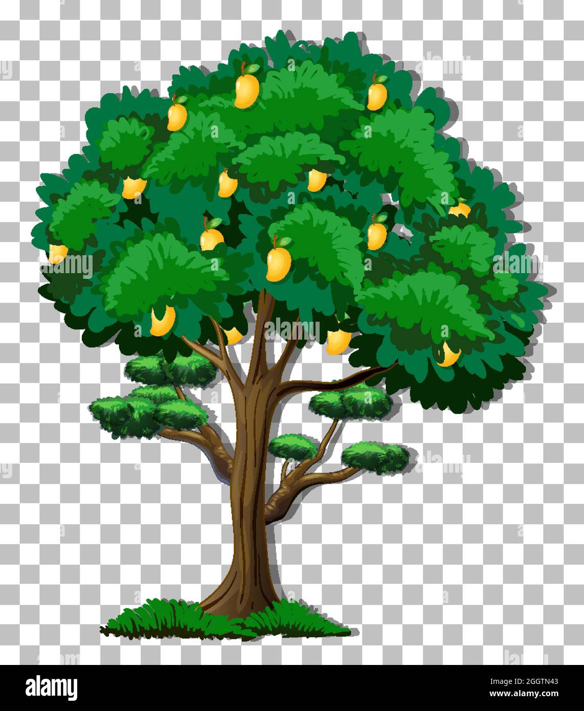 Mango Tree Clipart