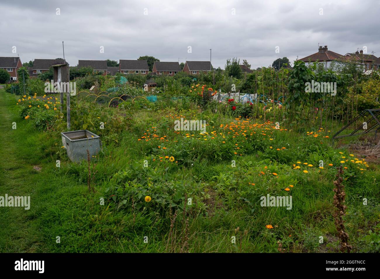 Allocated allotments hi-res stock photography and images - Alamy