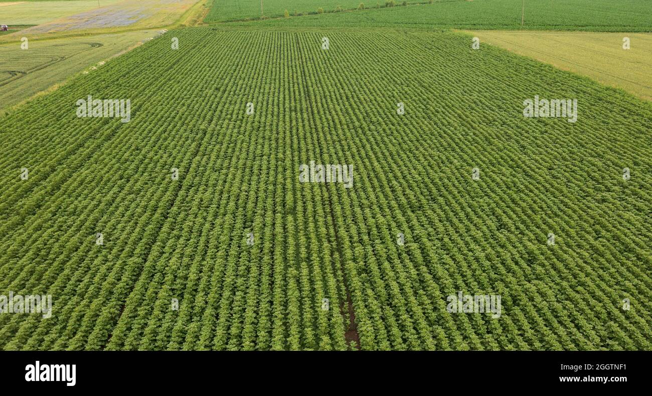 Diagonal view hi-res stock photography and images - Alamy