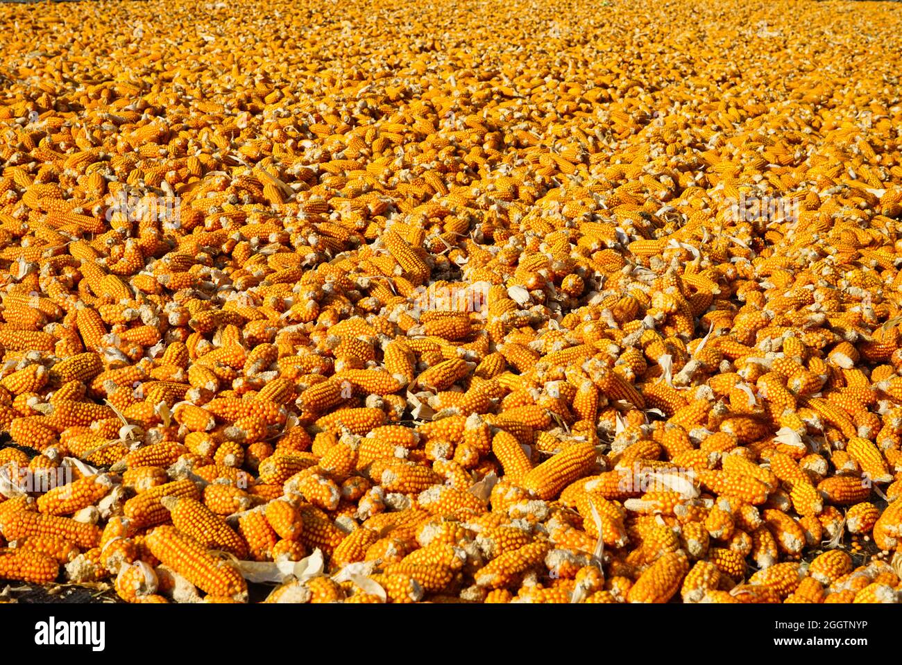 Before collection hi-res stock photography and images - Alamy