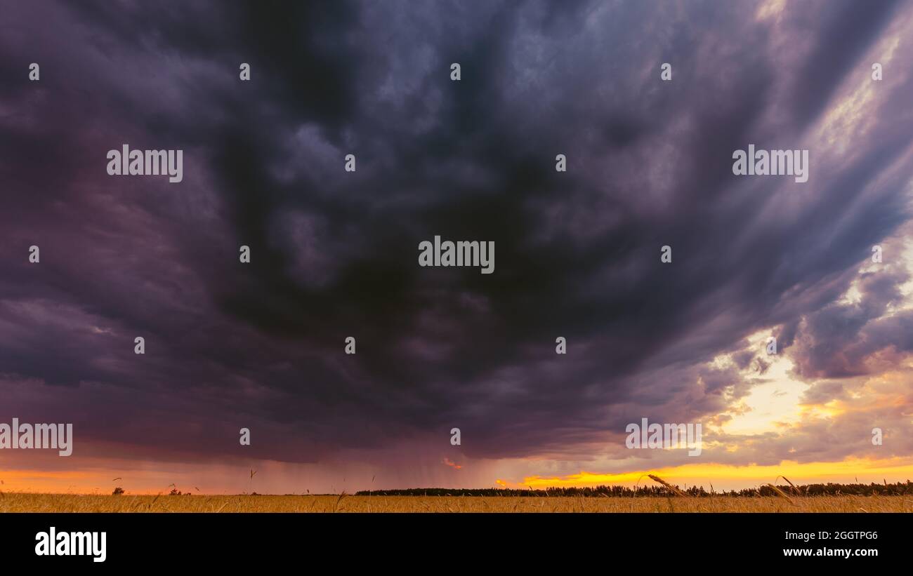 Summer Rainy Sunset Evening Above Wheat Field Landscape. Scenic ...