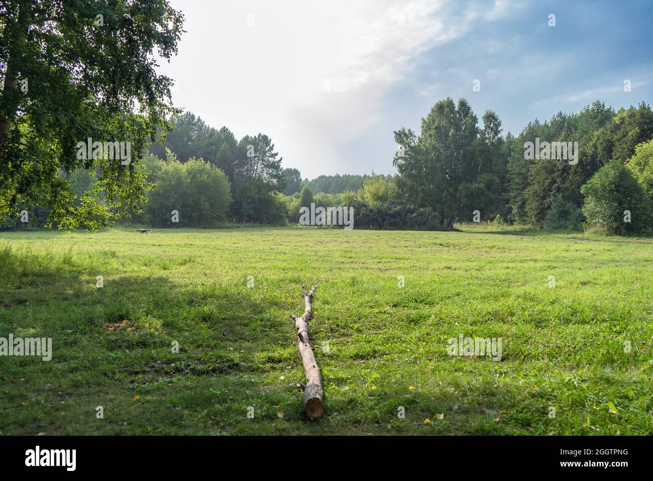 Lying log outdoor hi-res stock photography and images - Alamy