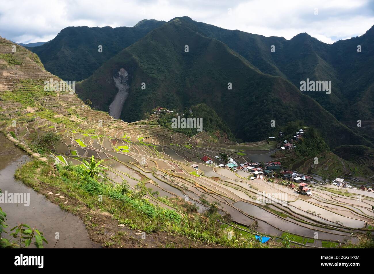 Philippine rice field hi-res stock photography and images - Alamy