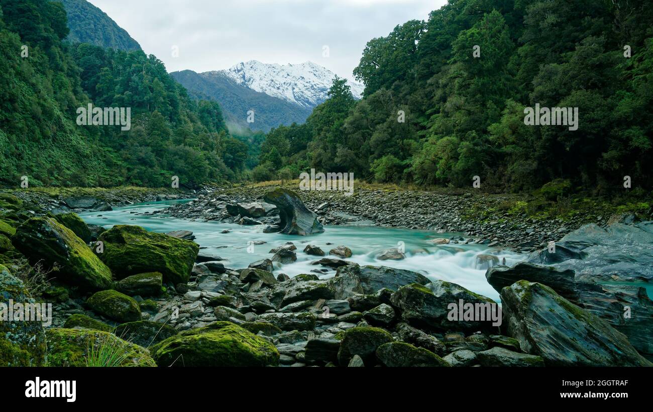Dog rock in the blue glacial Copland River, Westland Tai Poutini ...