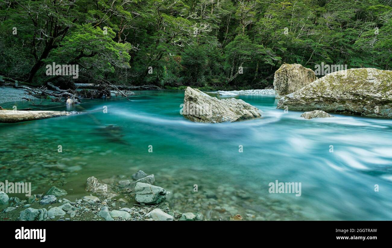 Route burn river Routeburn Track, Fiordland National Park, west coast ...
