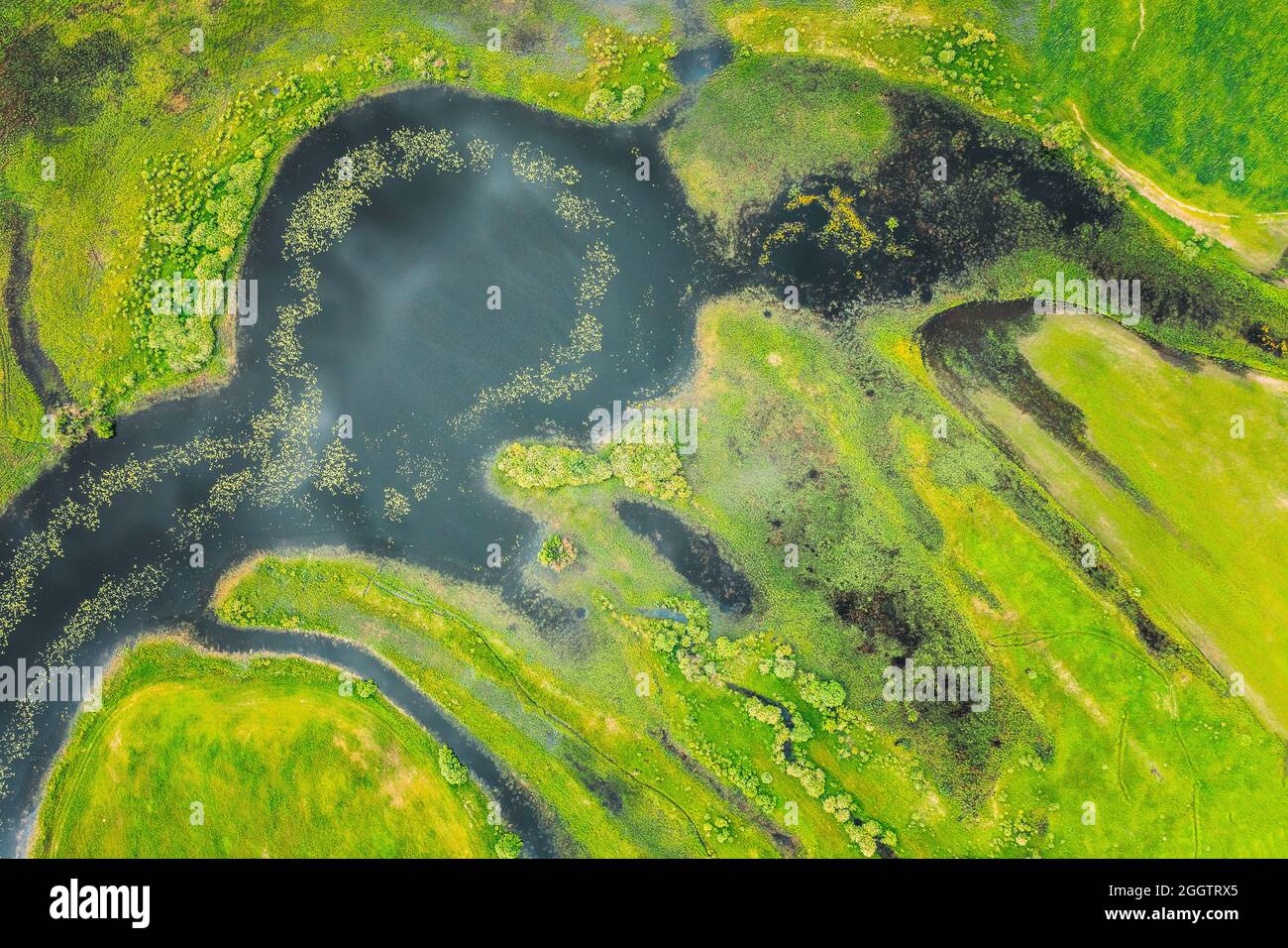 Aerial View Of Green Forest, Meadow And River Marsh Landscape In Summer ...