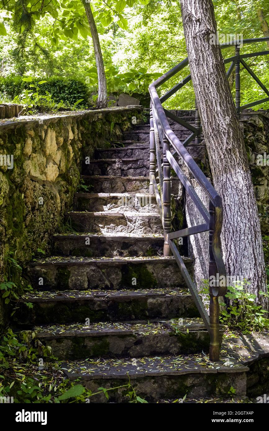 Picturesque view of stone steps of stairs in park. Old wooden staircase ...