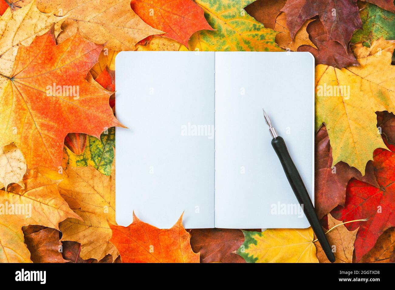 Educational mockup template hi-res stock photography and images - Alamy