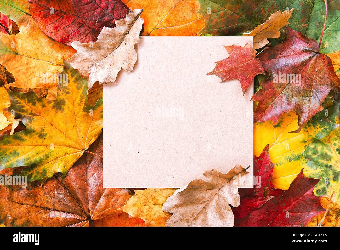 Craft aaper blank frame and autumn leaves background. Autumn mockup ...
