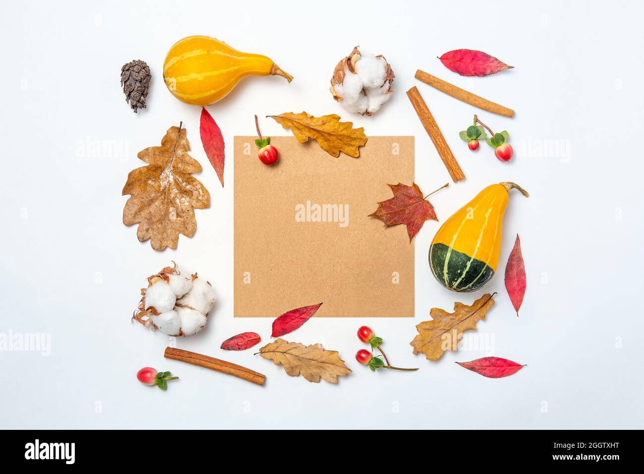 Craft paper blank frame and autumn leaves, cotton, pumpkin, cinnamon ...