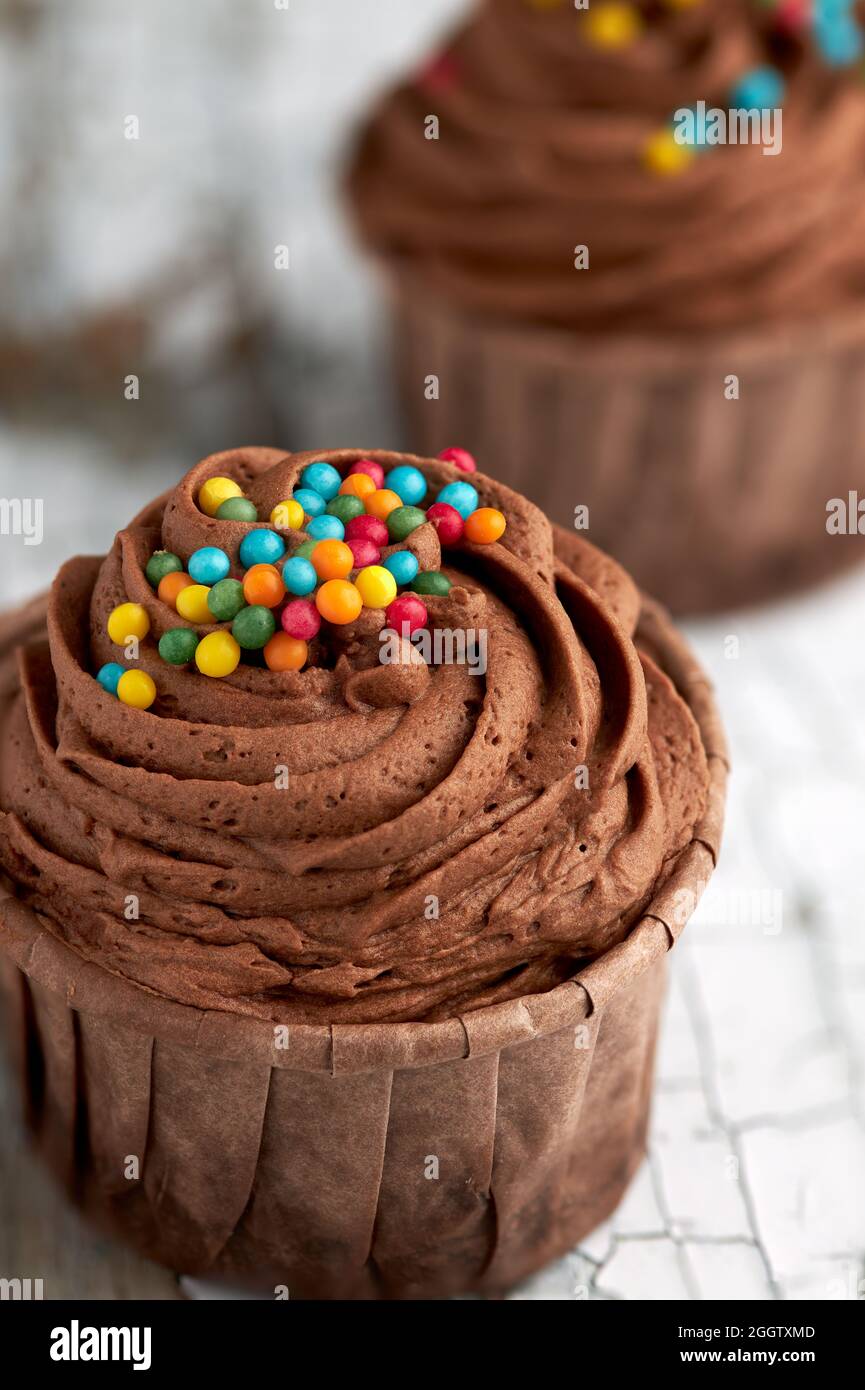 Vertical closeup shot of a chocolate cupcake with colorful candies ...