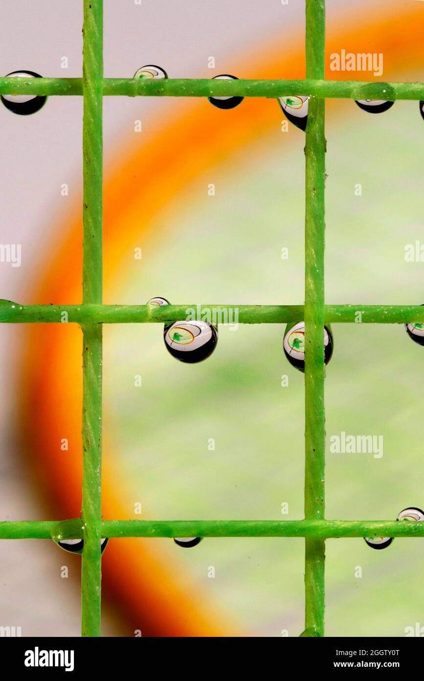 Feather spring ball racquet with water drops Stock Photo - Alamy