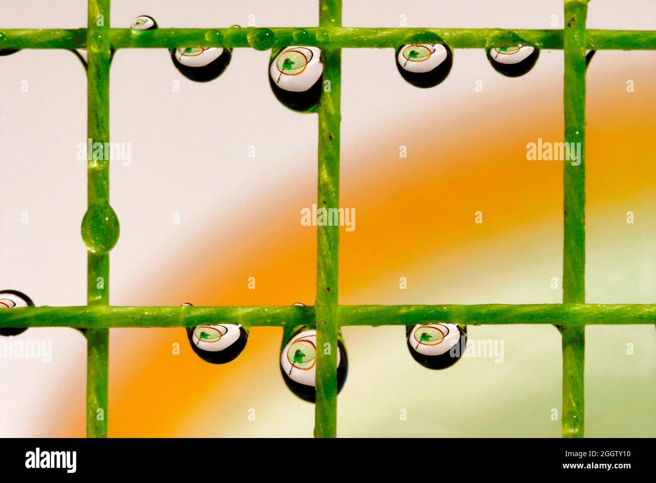 Spring ball hi-res stock photography and images - Alamy