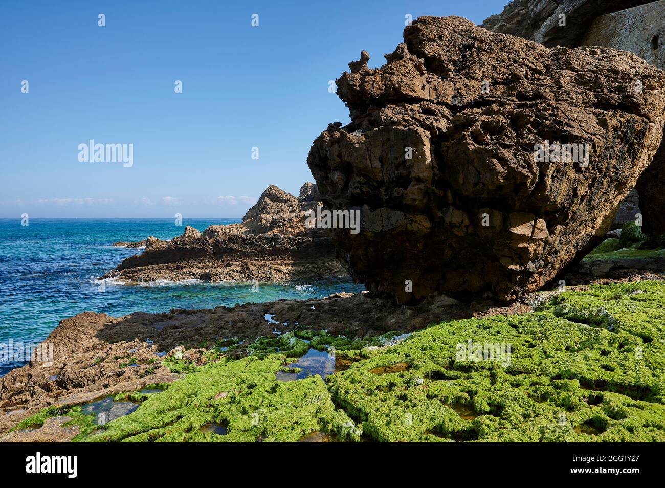 Mossy green coastal beach hi-res stock photography and images - Alamy