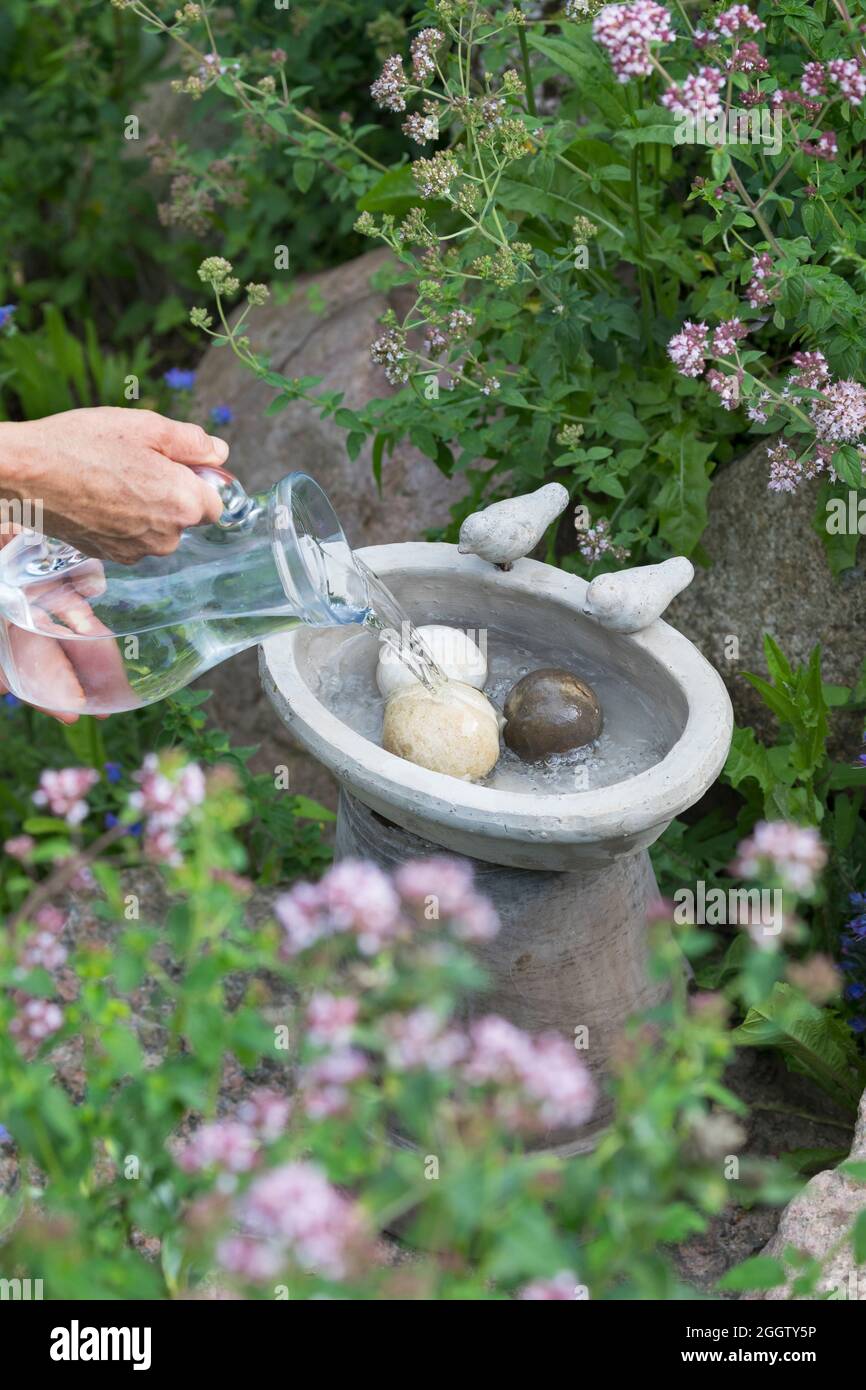 Watering troughs hi-res stock photography and images - Alamy