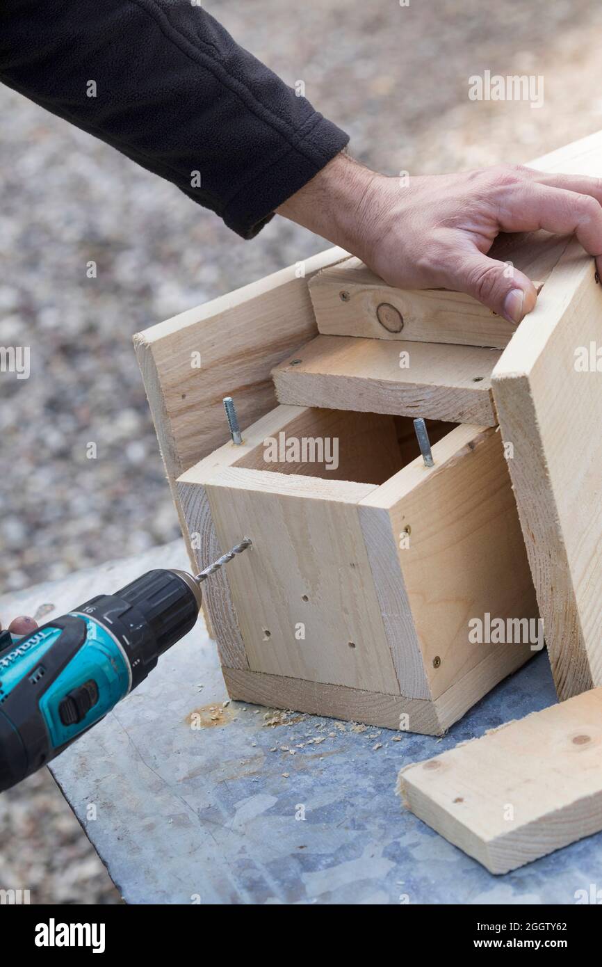 selfmade wooden tit box, holes are sawed in the floor for airing ...