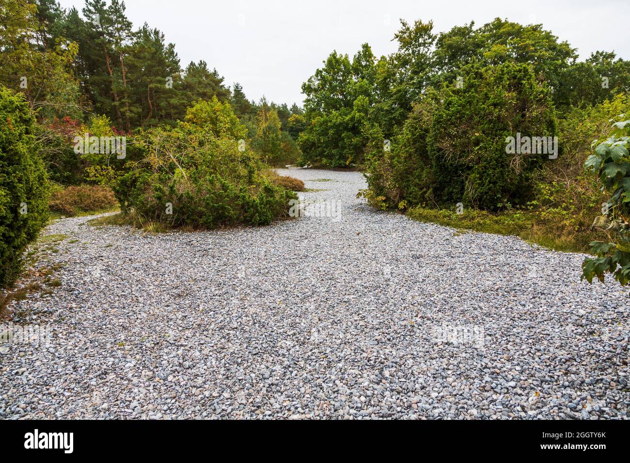 flint stone field, scree field from flint stones, nature reserve ...