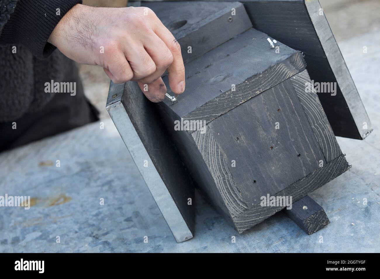 selfmade wooden tit box, cleaning hatch is screwed, series picture 14/ ...