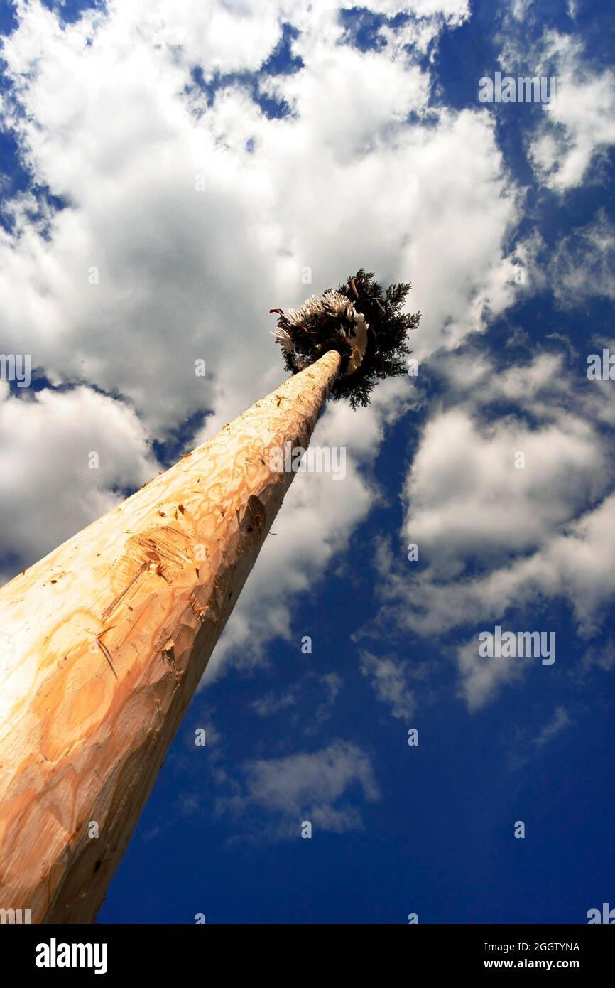 maypole, wormeye view, Austria Stock Photo - Alamy