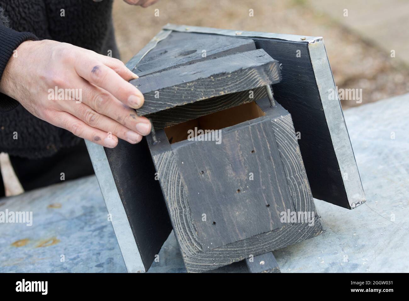selfmade wooden tit box, cleaning hatch is screwed, series picture 14/ ...