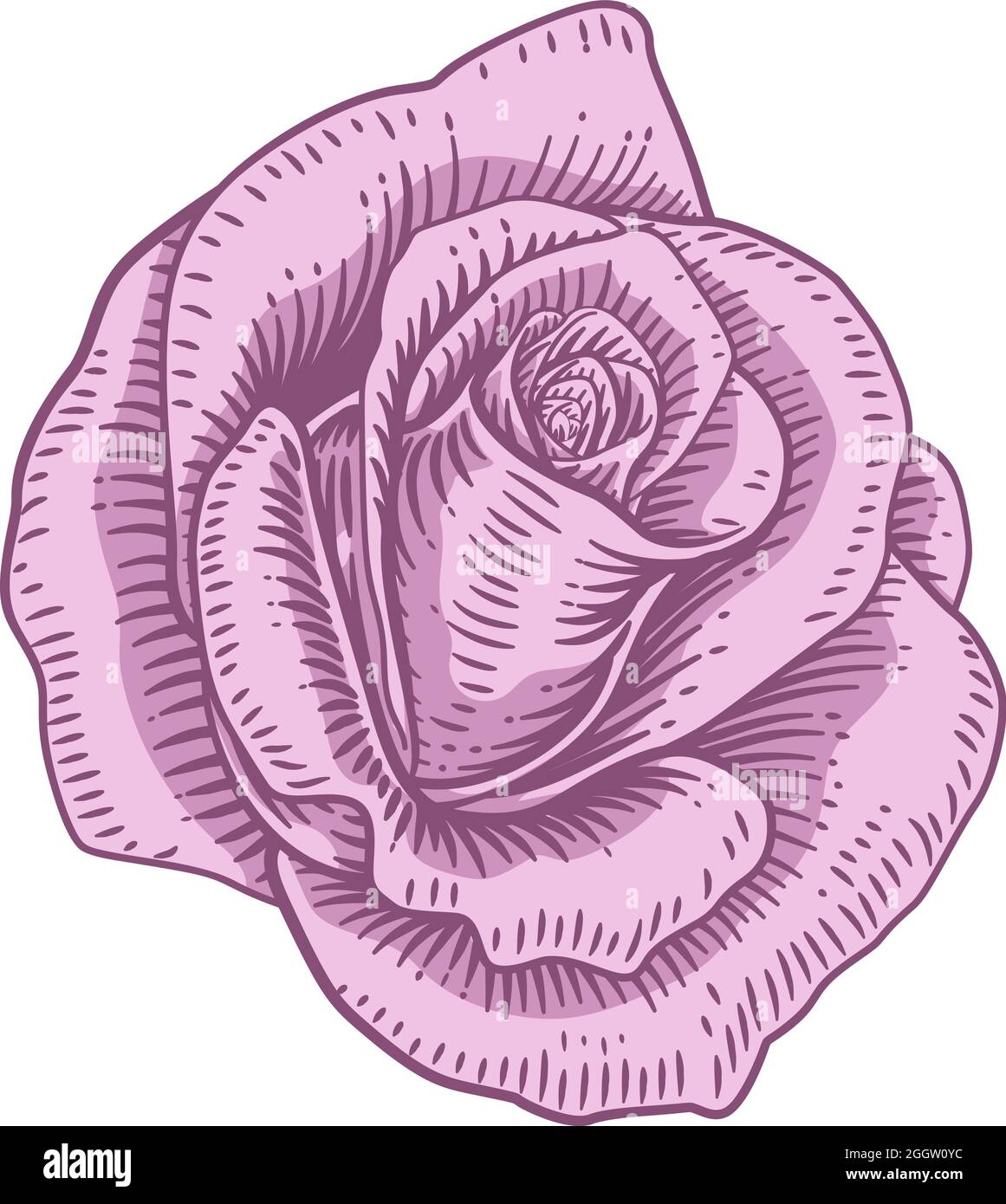 Vintage flower drawings hi-res stock photography and images - Alamy