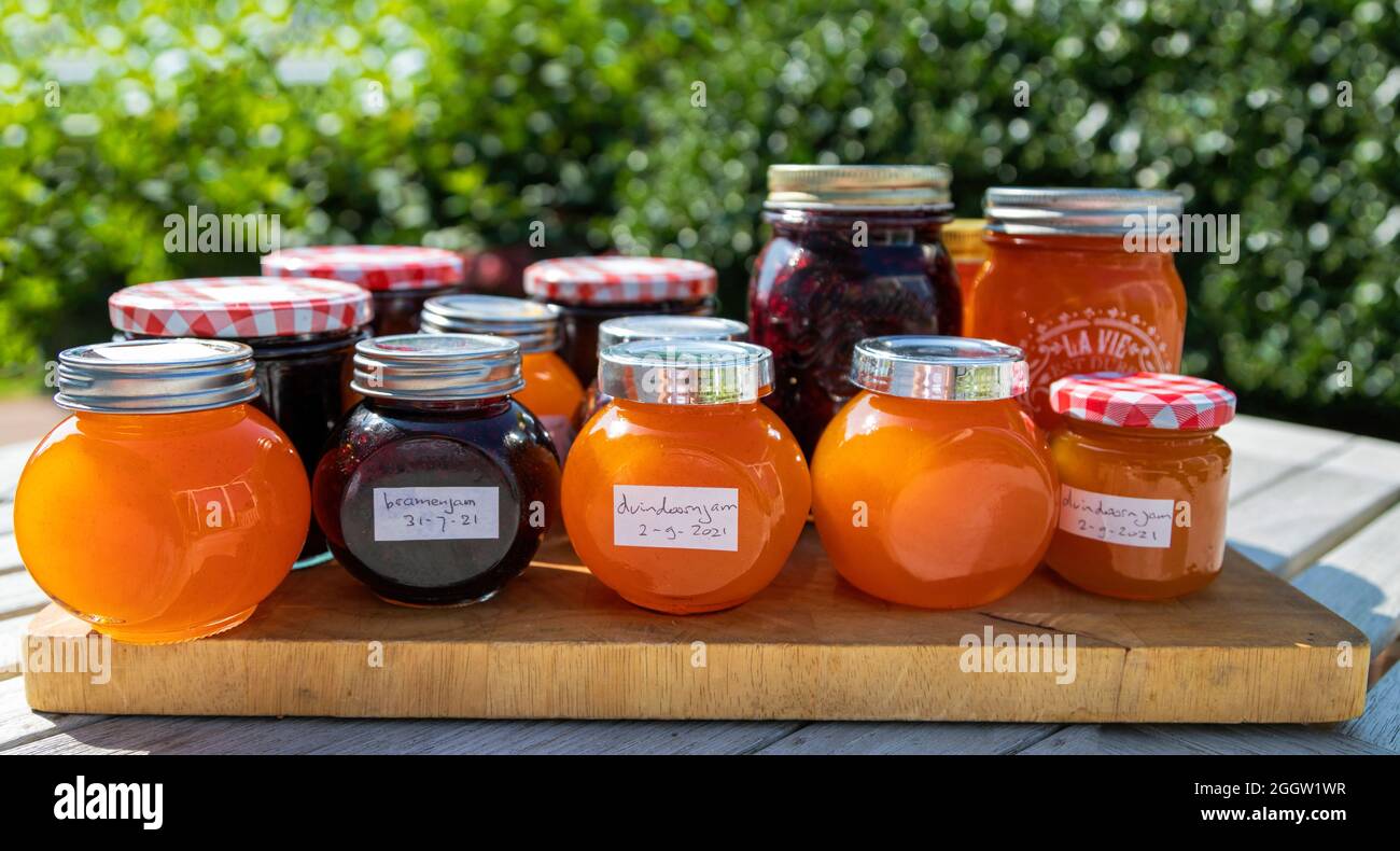 Still life of Autumn Harvesting- Jars of homemade Blackberry and Sea ...