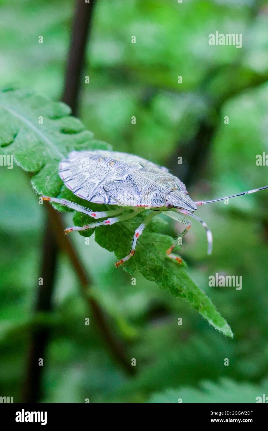 Non Exclusive: GUATEMALA CITY, GUATEMALA- SEPTEMBER 2: General view A ...