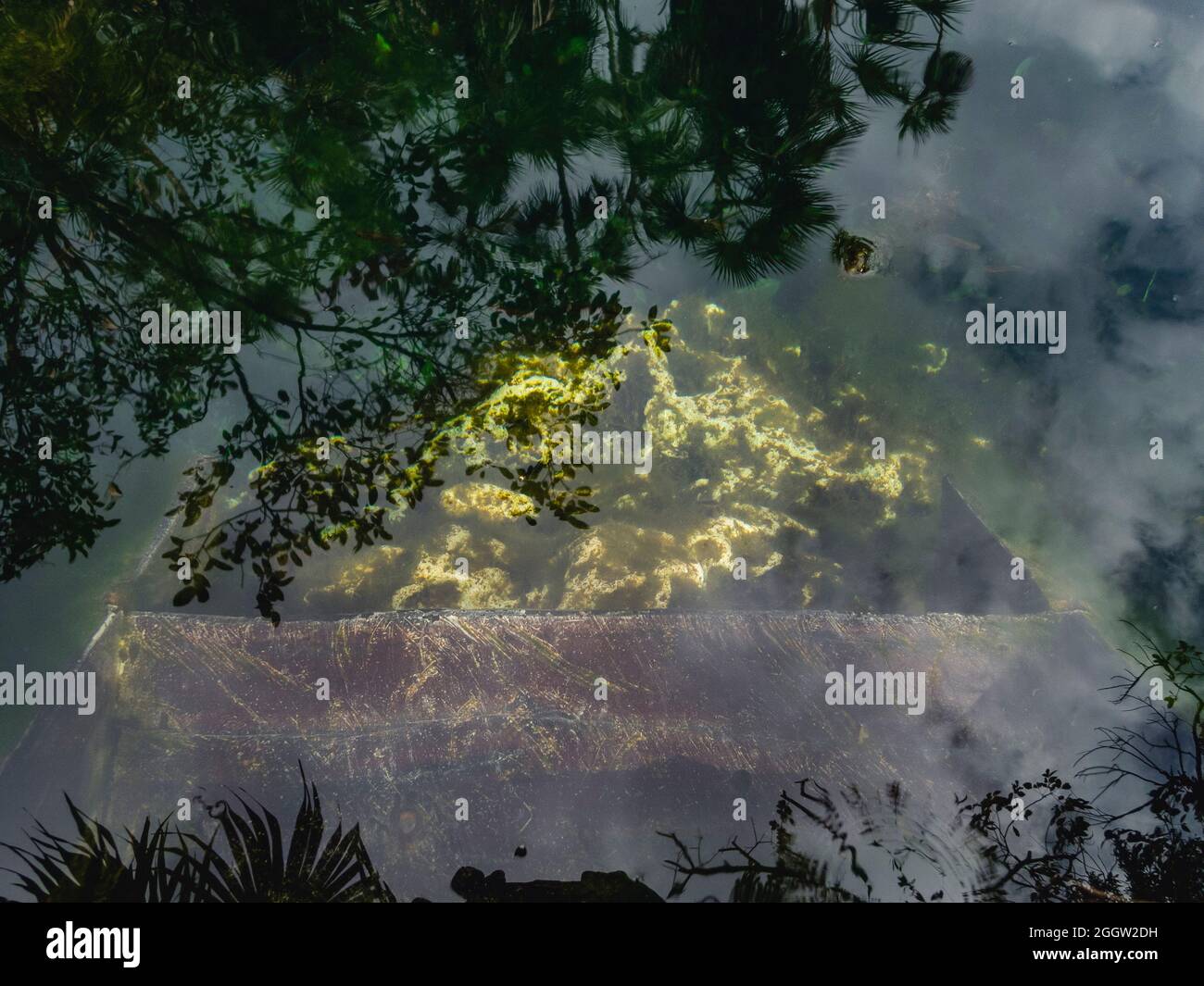 Zonote hi-res stock photography and images - Alamy