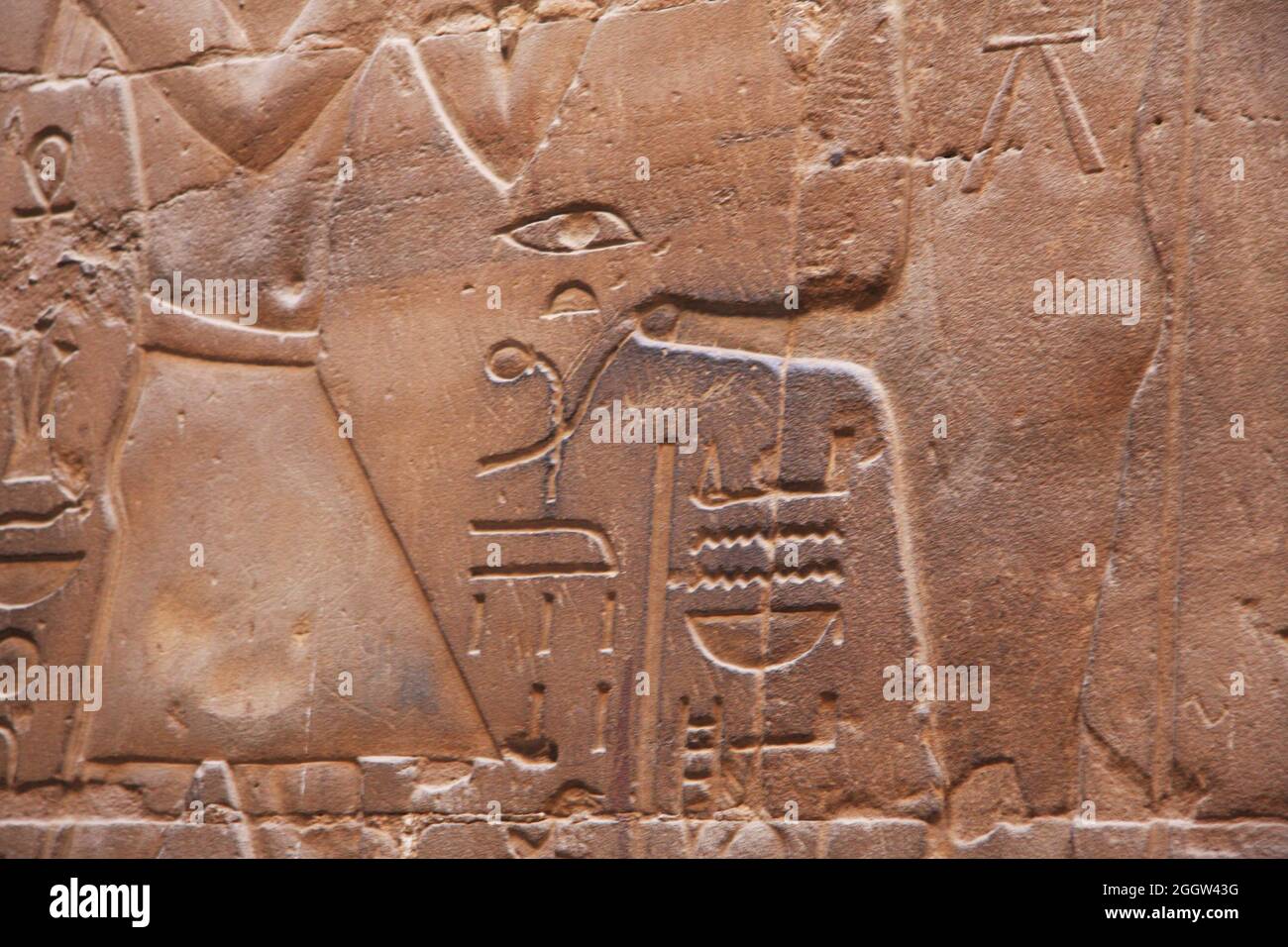 Details of the Temple of Edfu, Edfu, Aswan Governate, Egypt Stock Photo ...
