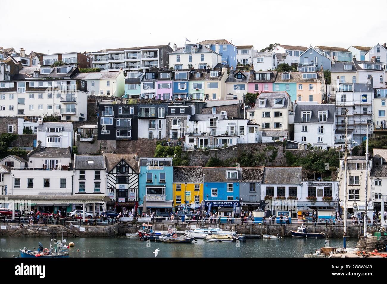 A view of the harbour and houses in Brixham, Devon Stock Photo - Alamy