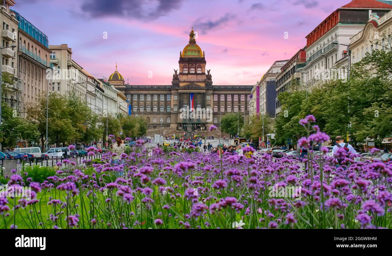 Buildings and houses in the historical center of Prague. Wenceslas ...