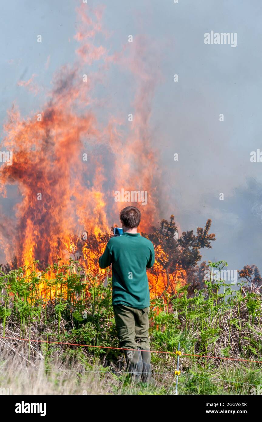 Fire ashdown forest hi-res stock photography and images - Alamy