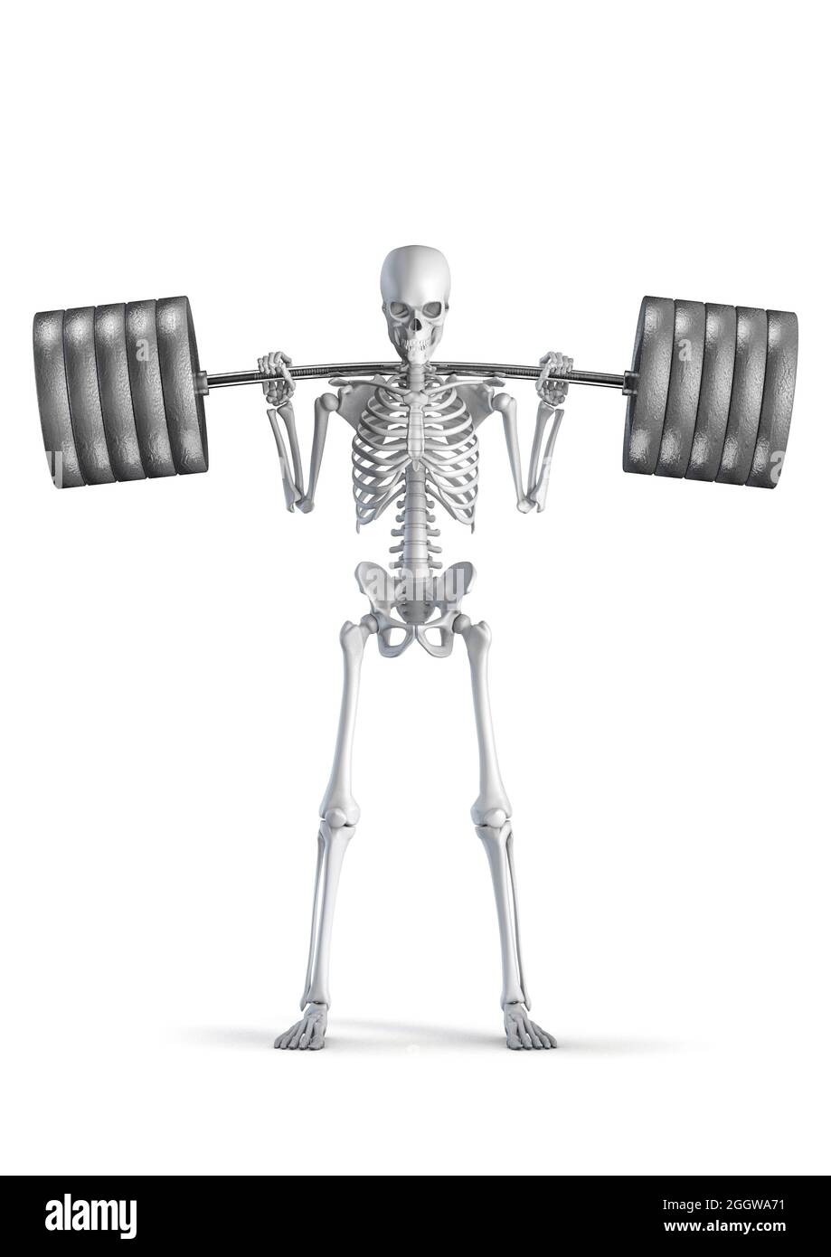 Fitness skeleton squat - 3D illustration of male human skeleton figure ...