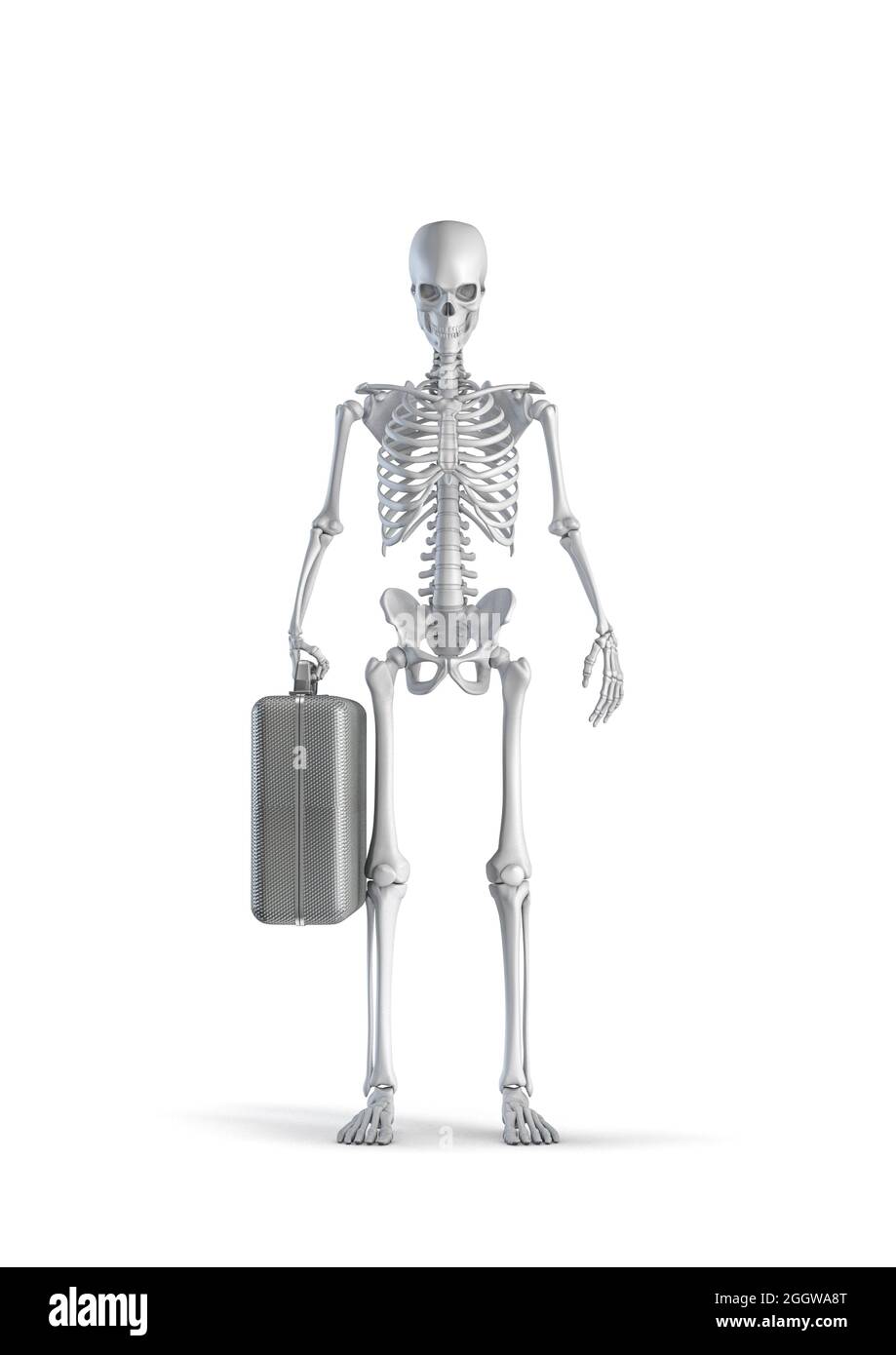 Skeleton with suitcase - 3D illustration of male human skeleton figure ...