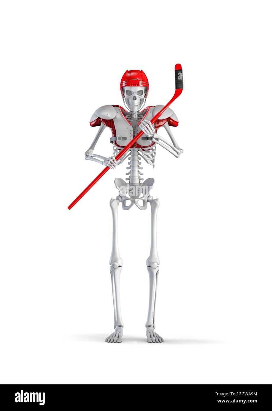 Ice hockey player skeleton - 3D illustration of male human skeleton ...
