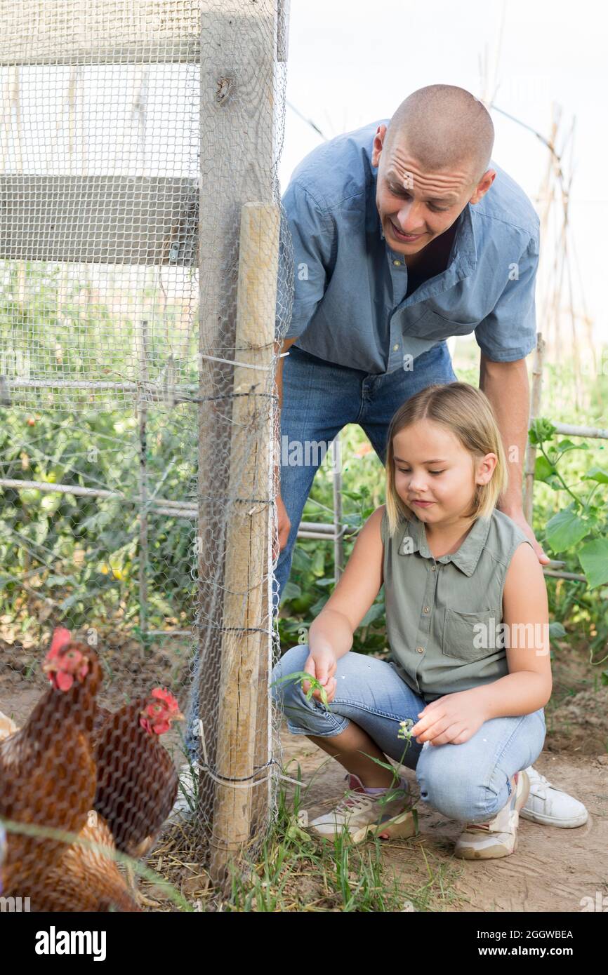 Chicken dad hi-res stock photography and images - Alamy