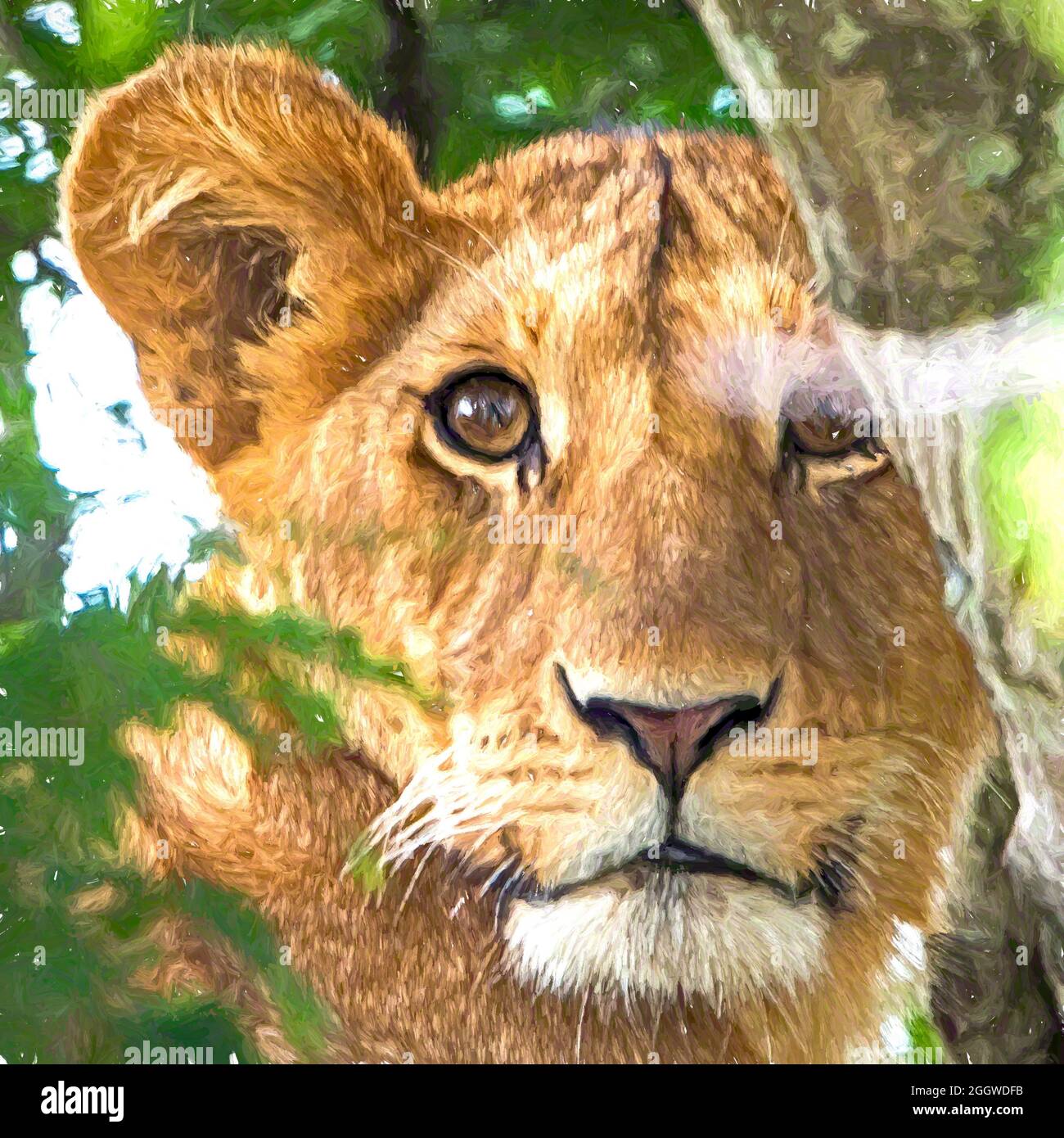 Digital Painting of a portrait of a lion cub Stock Photo - Alamy