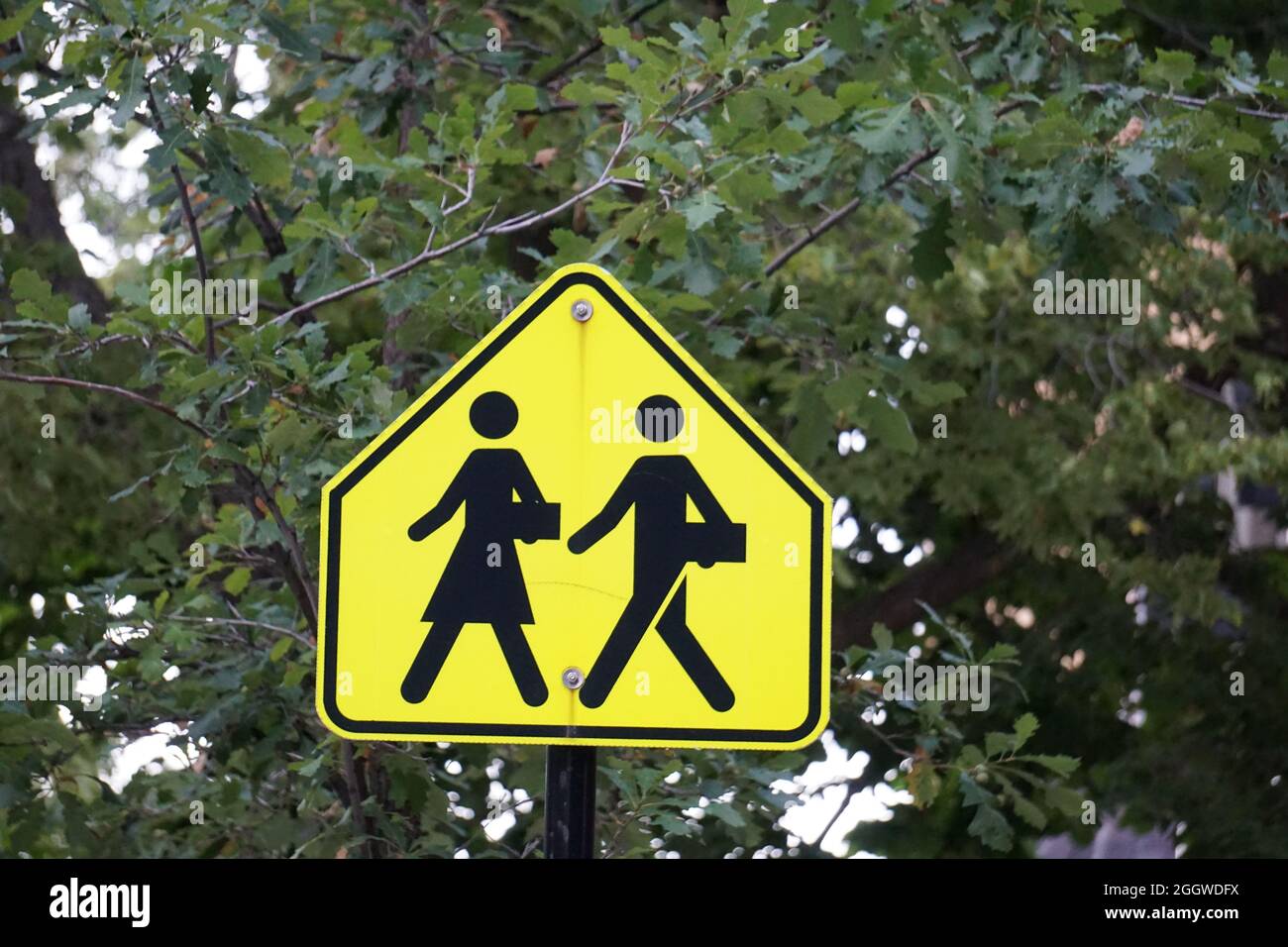 school zone sign with green leaf trees background Stock Photo - Alamy