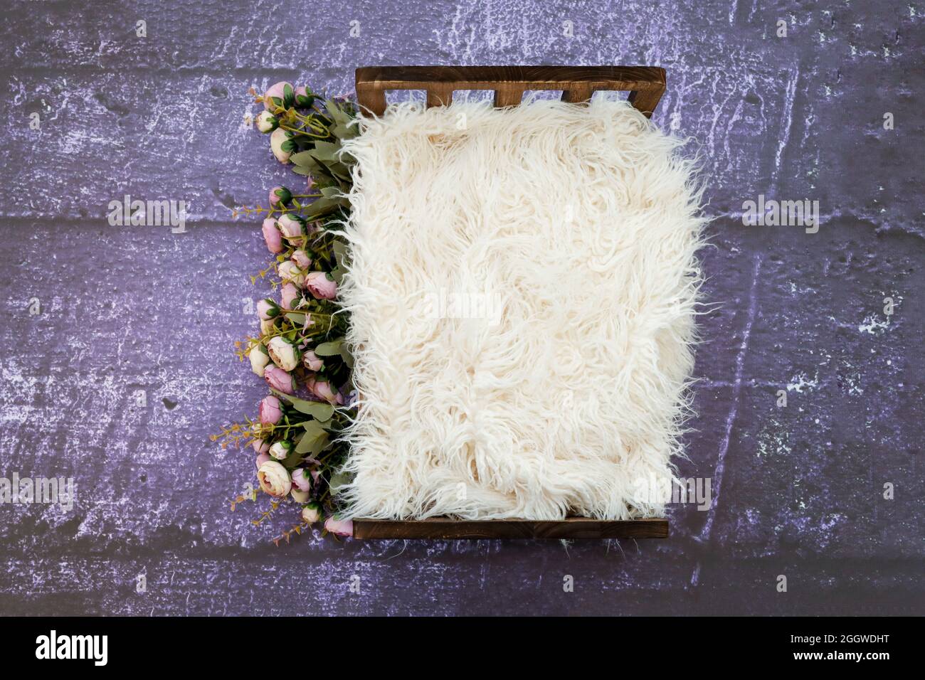 Newborn digital backdrop/background, digital file backdrop Stock Photo ...