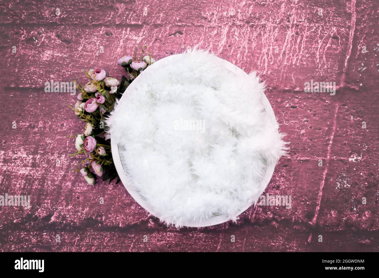 Newborn digital backdrop/background, digital file backdrop Stock Photo ...