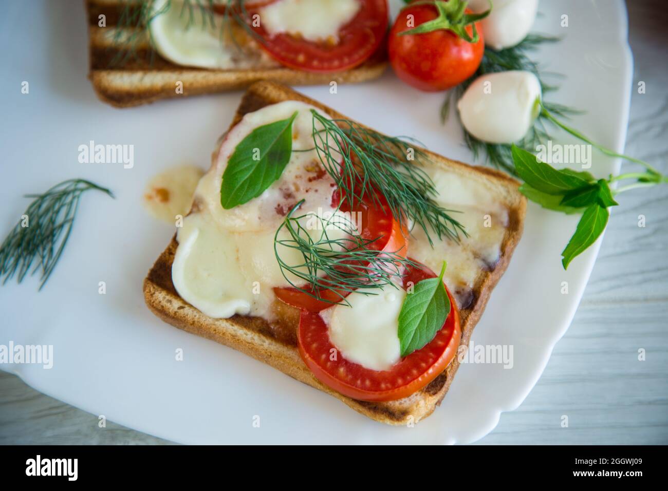 fried hot toast with mozzarella and tomatoes in a plate on a wooden ...