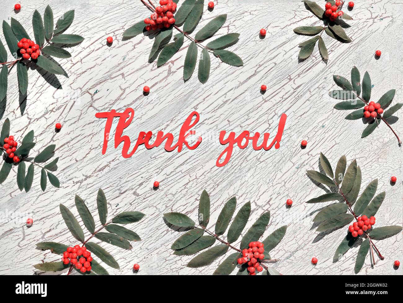 Paper text Thank You. Festive decorative natural background, fresh ...
